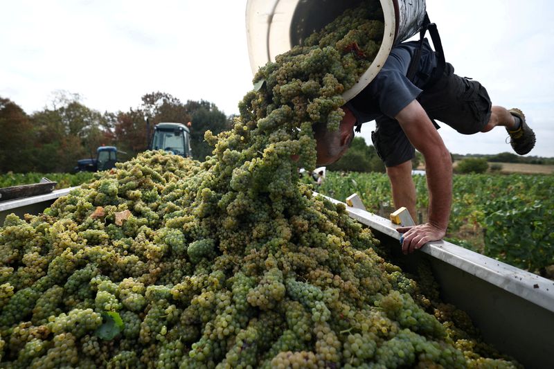 French wine exporters say Trump's latest tariff threat is bad news