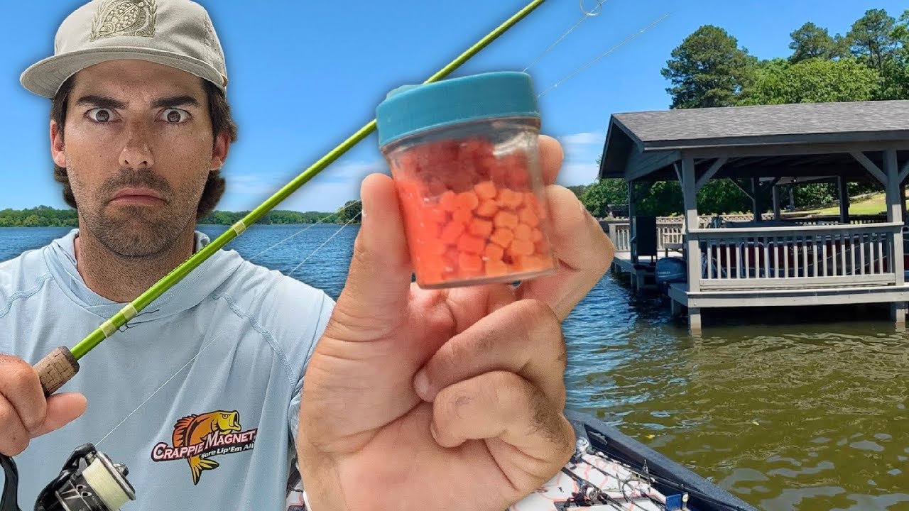Orange-scented nuggets trigger a massive catfish feeding frenzy