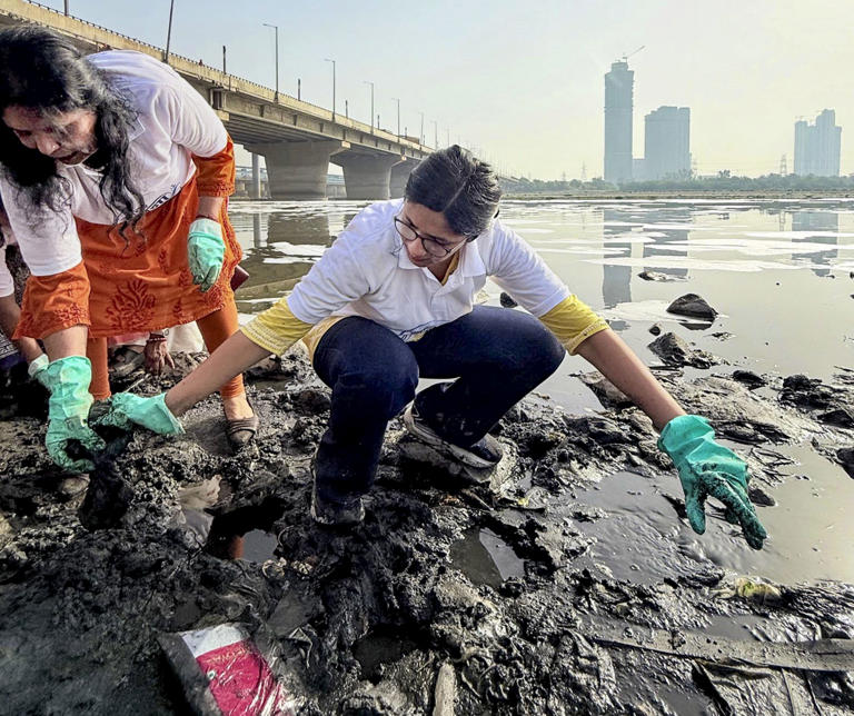 116 metric tonnes of waste removed from Yamuna ghats in Delhi: Water ...