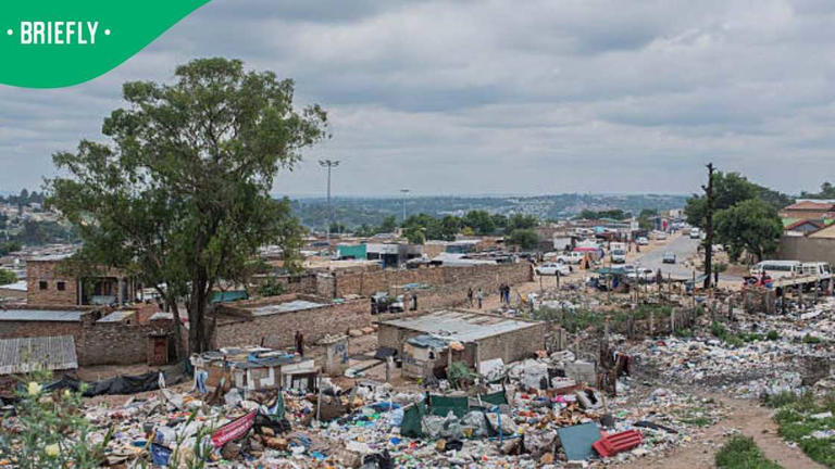 ‘Mafia-style’ groups cash in on Johannesburg’s illegal dumping sites