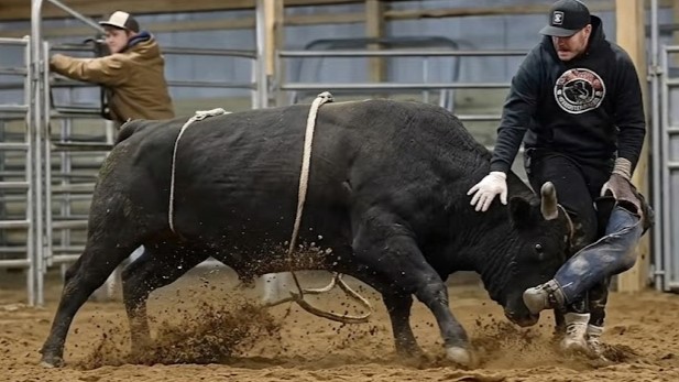 Watch what happens when this bullfighter faces a 2,000 lb bull