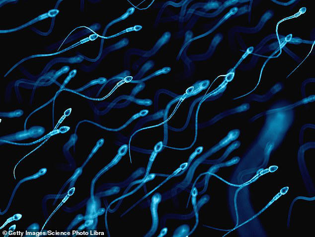 Weight loss jabs boost testosterone and could improve fertility in men ...