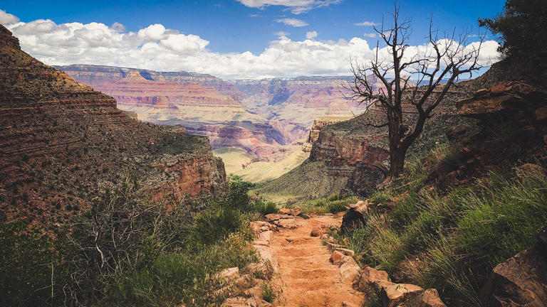 Hikers face urgent Grand Canyon heat warning after teen’s death on ...
