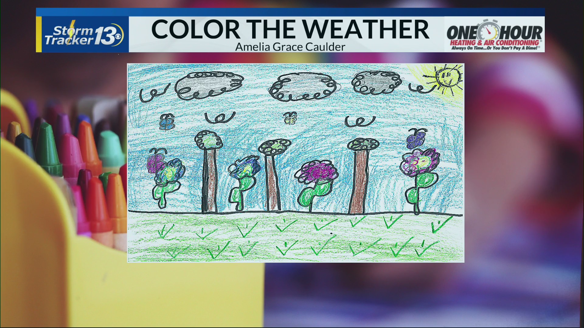 Color the weather: Amelia Grace Caulder