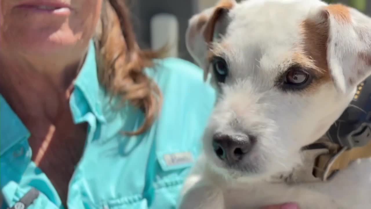 Cadaver dog evidence: Enough to convict?