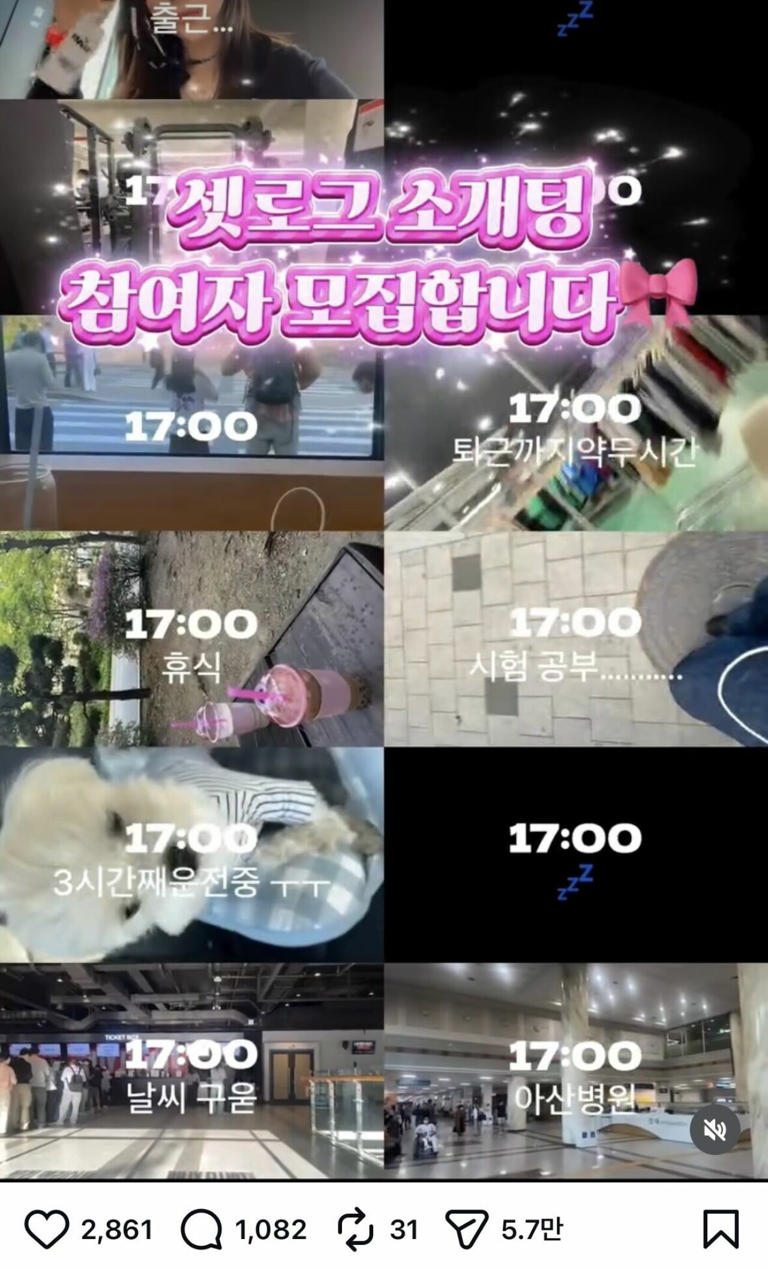 Setlog singles share daily life before dating, sometimes even before ...
