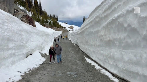 10-foot towers of snow: Journey through these famous Canadian giants