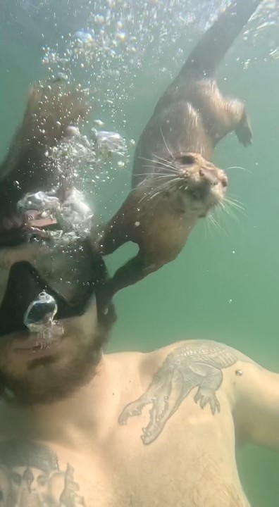 Swimming with Kaido!