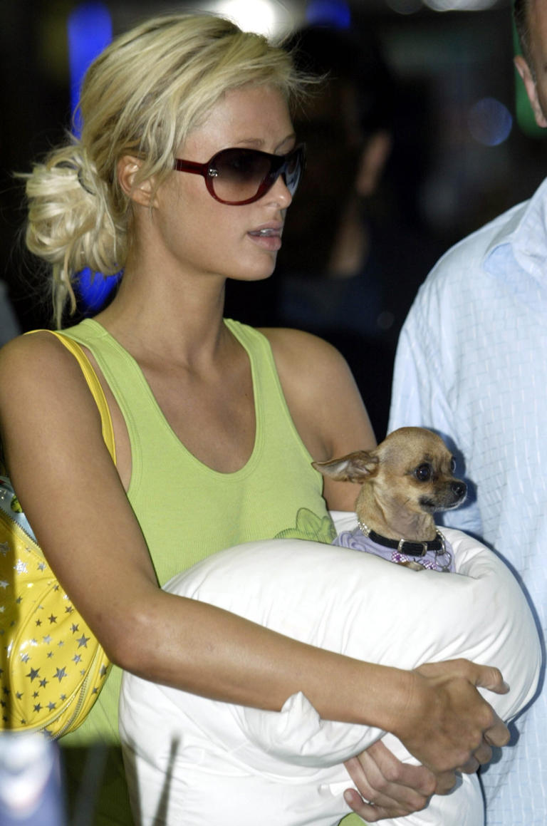 Chanel sweaters. Private jets. Full-time bodyguards. History's most ...