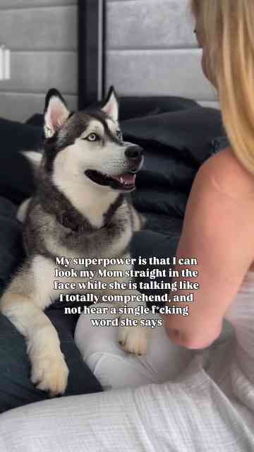 What dogs teach us without saying a word
