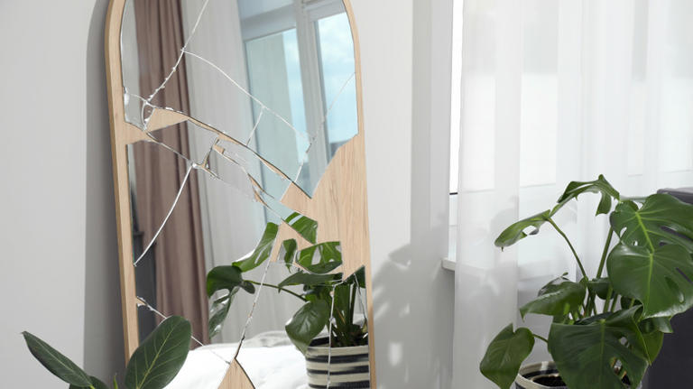 Give your broken mirror new life with a forest-inspired upcycle project