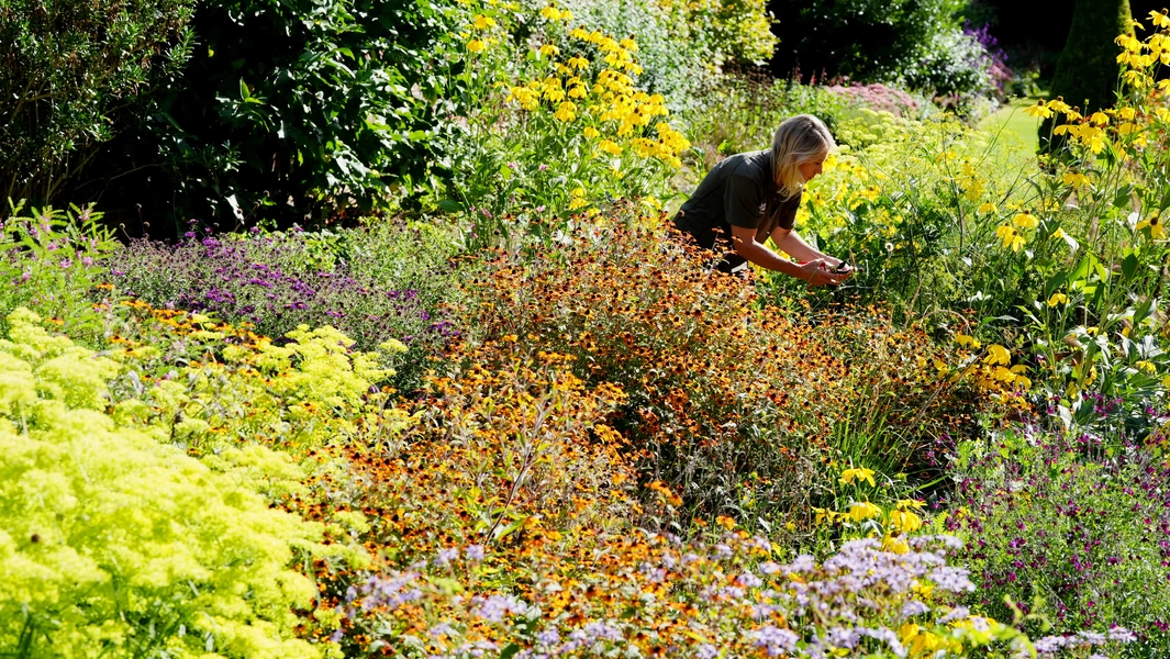 Smart seasonal care tips for thriving gardens