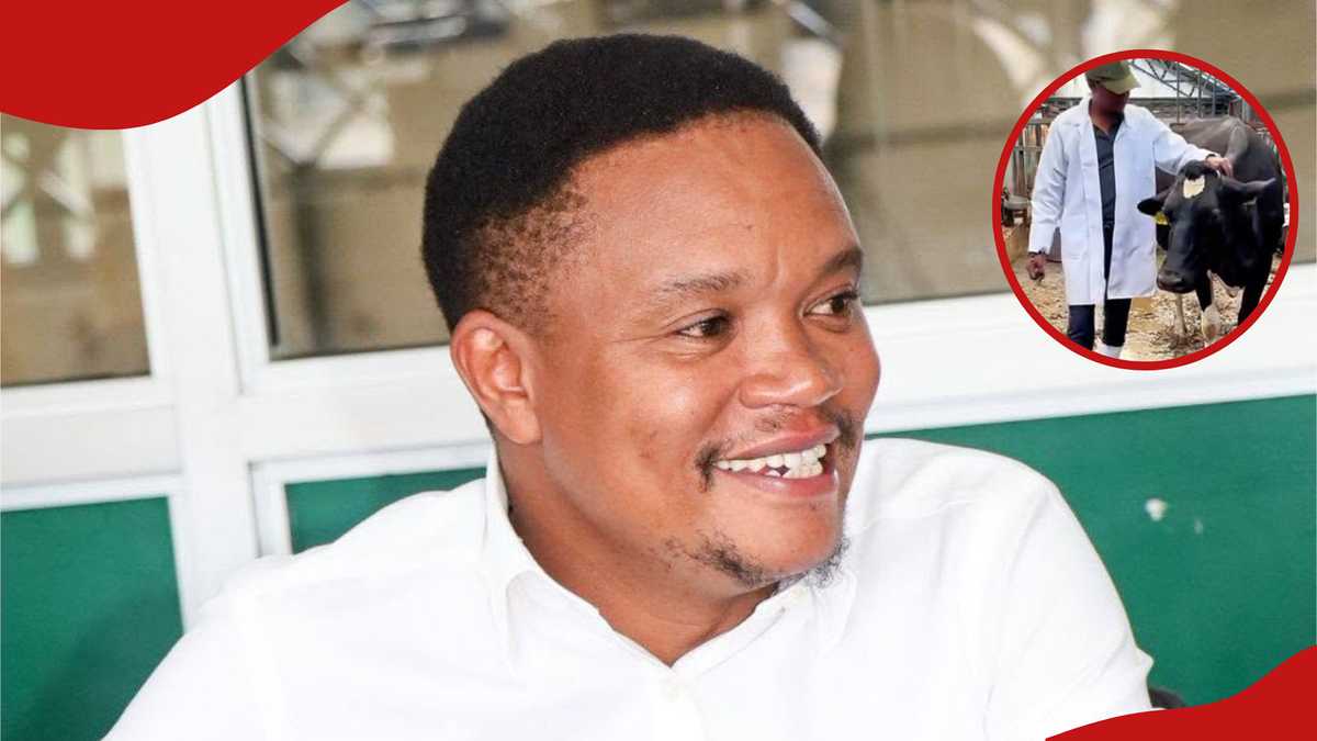 White House Farm: Inside Kuria Kimani’s farmstead with poultry ...