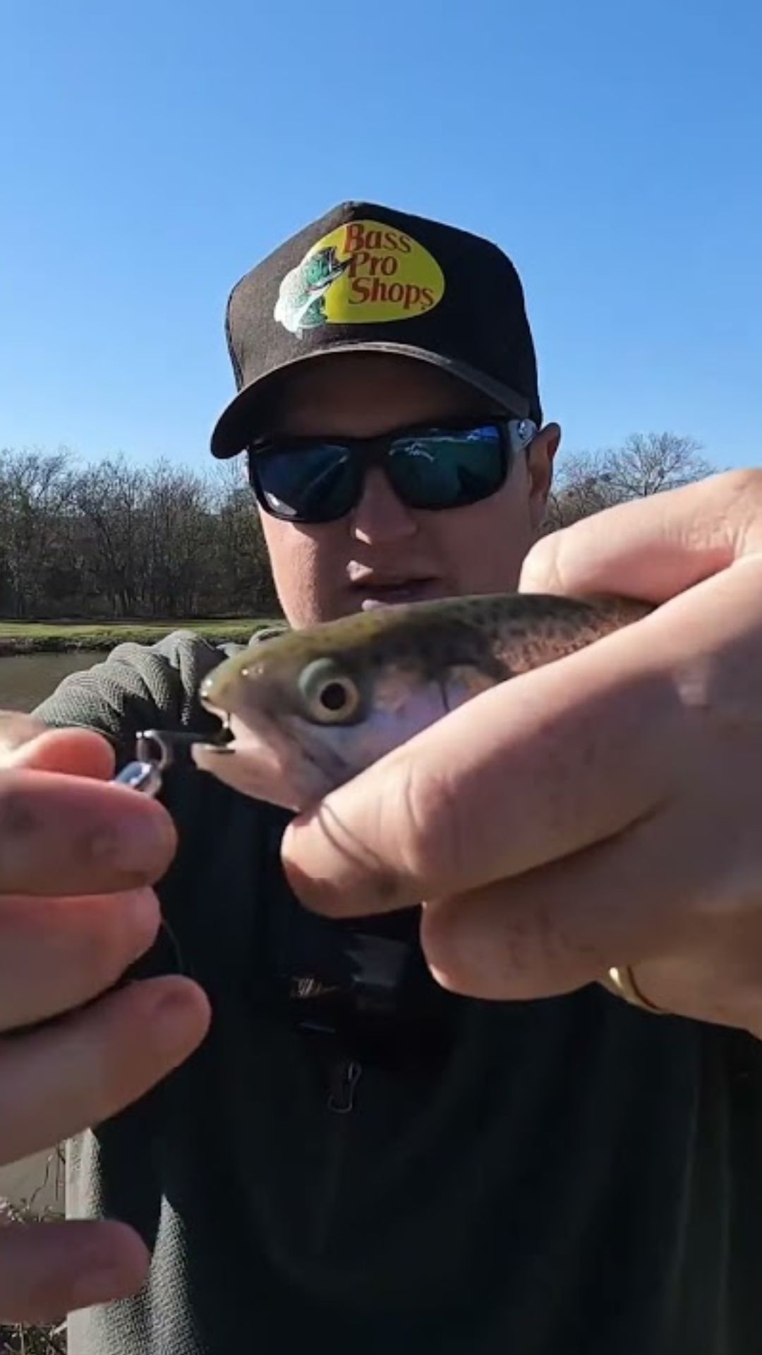 This is the easiest way to catch rainbow trout. Don’t go fishing ...