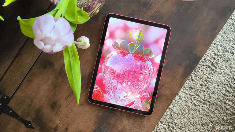 Don’t get burned (literally) by these risks when you’re buying a used iPad