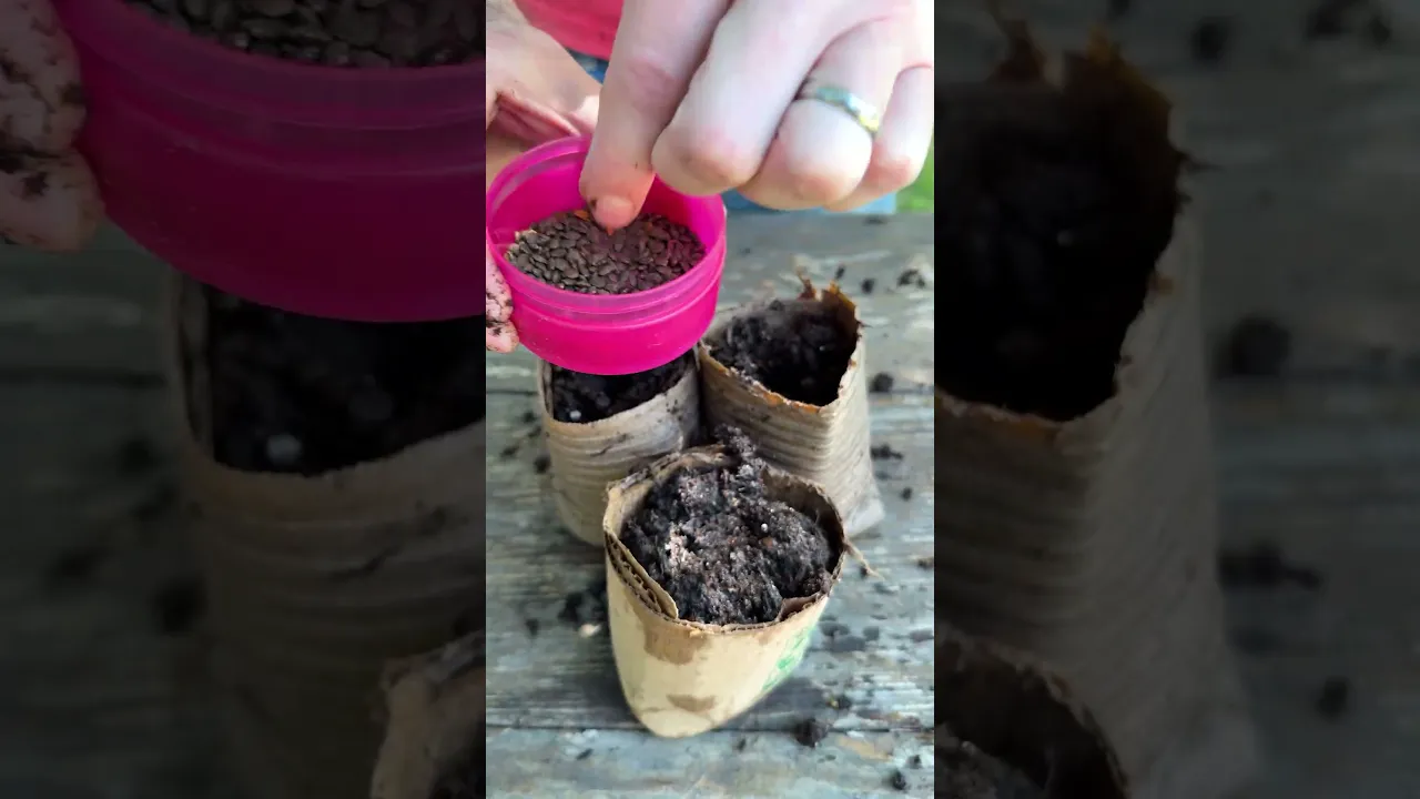 Easy planting tips!🪴 #garden #planting
