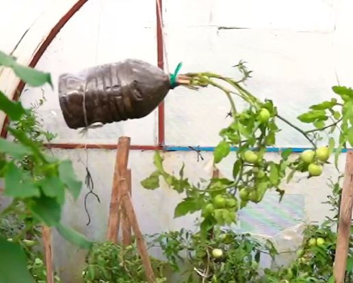 Optimisez votre jardin d'été avec ces astuces