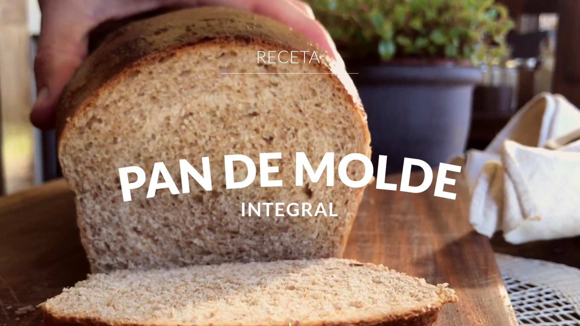 Pan de molde integral pan lactal casero integral