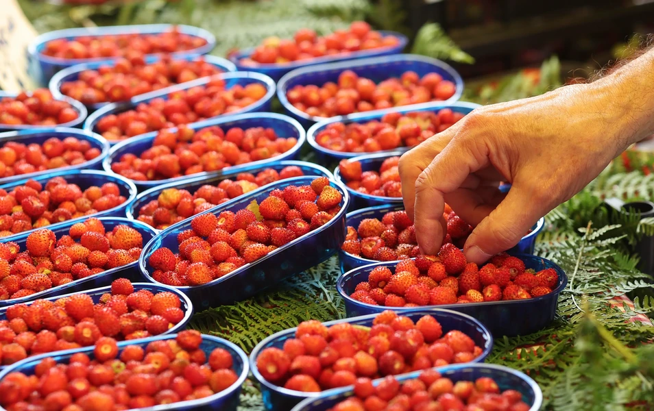 Seasonal berries and foraged flavors redefine summer desserts