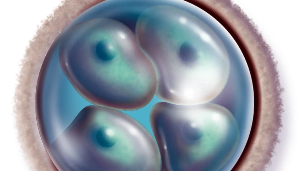 Scientists unveil embryo editing advances amid ethical outcry