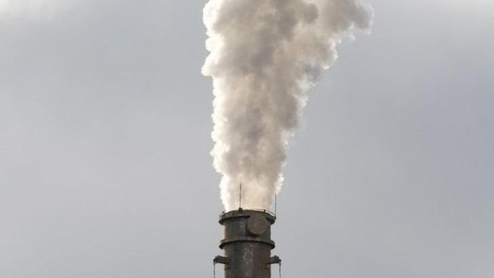 How carbon markets shape the future of global emissions