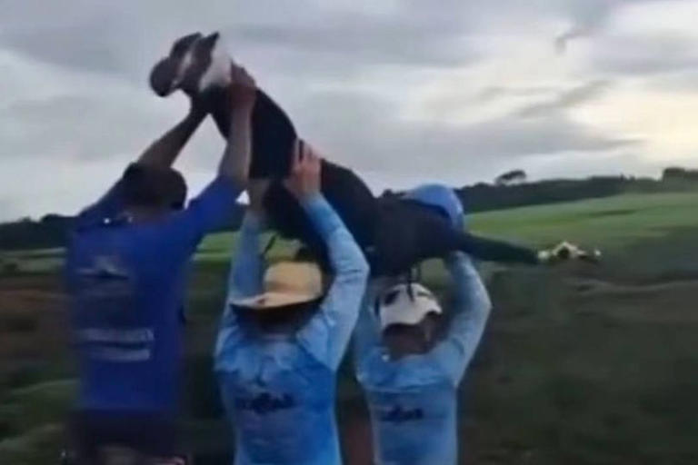 Bungee jump employees claim they 'blacked out' as they launched woman ...