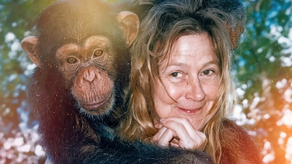 A chimpanzee attacked her - 4 surgeons couldn't forget what they saw