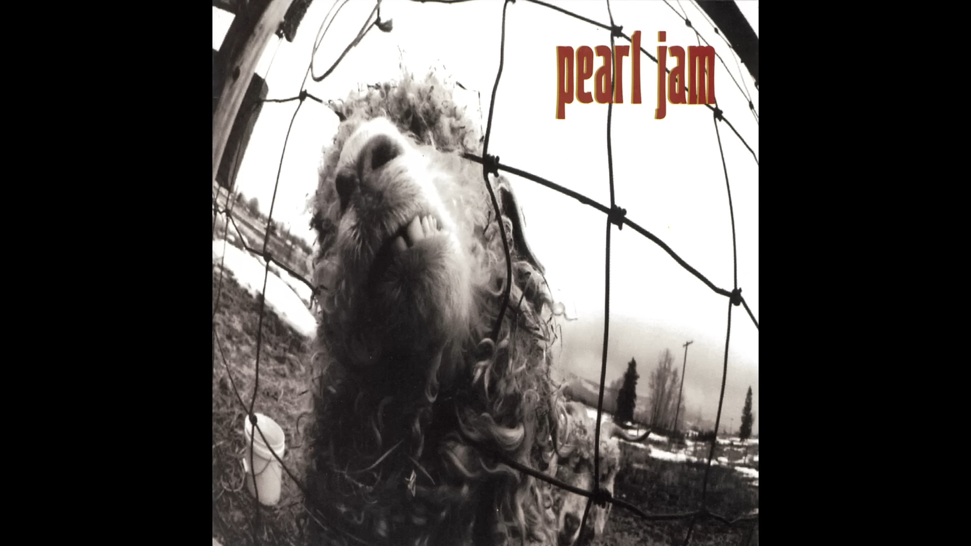 20 songs that became hits by pure accident