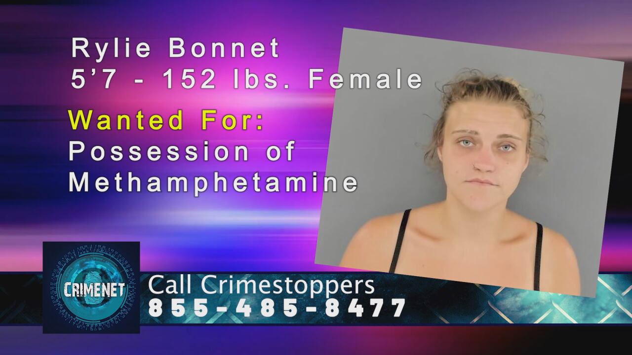 Crimenet: Rylie Bonnet