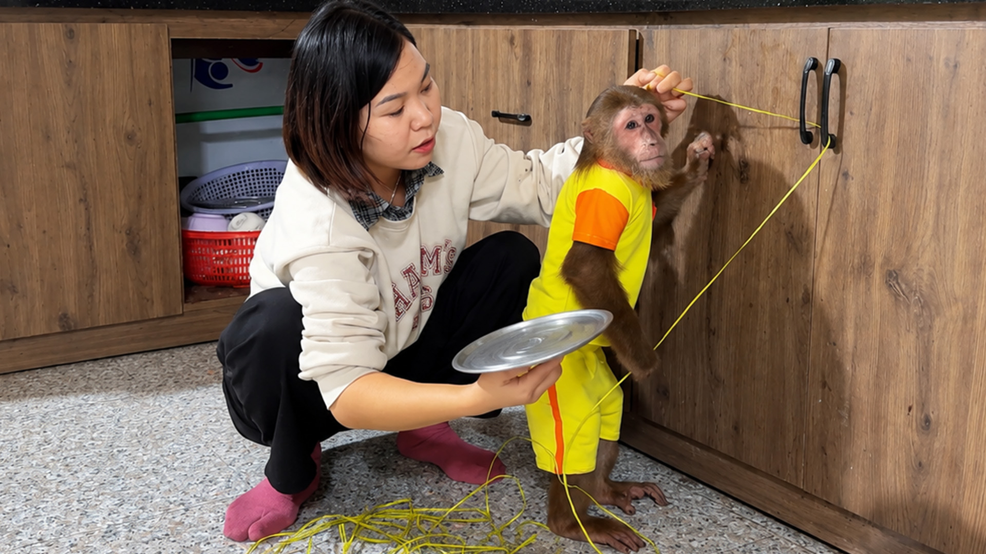Cutis and baby monkey create unique plan to care for baby