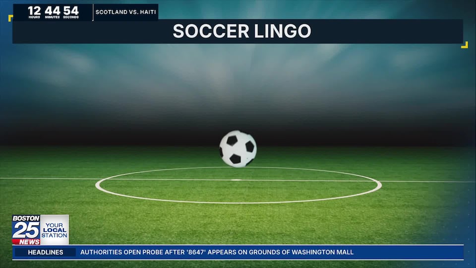 World Cup 101: Decoding soccer’s unique language