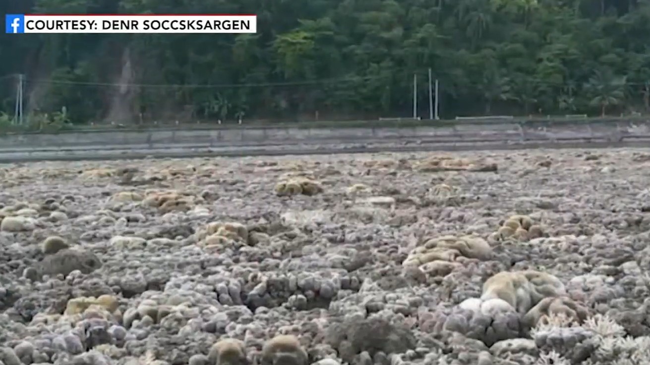 Coastal uplift after M7.8 earthquake in Mindanao no cause for alarm ...