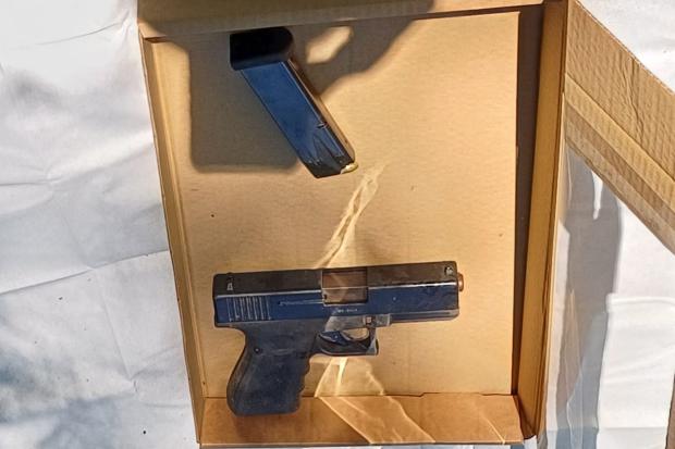Semi-automatic pistol with loaded magazine found 'under log' in Moreton ...