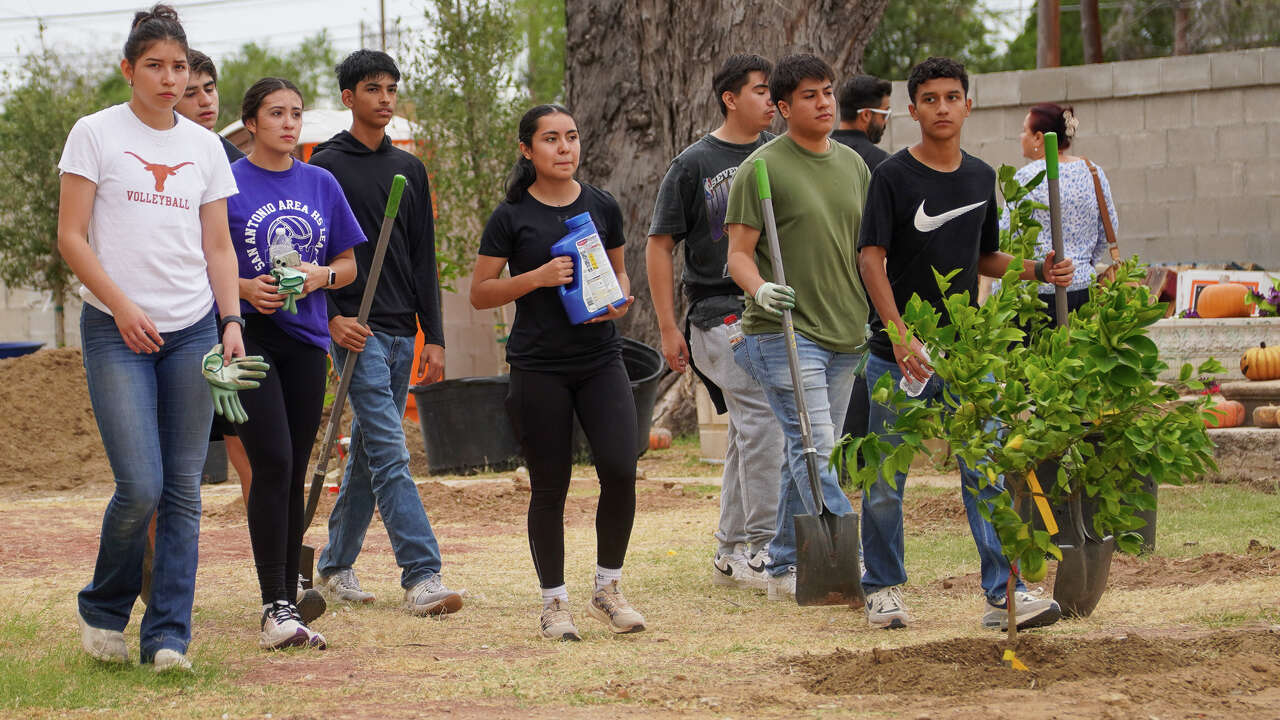 RGISC seeks visual storytellers for school forestry project