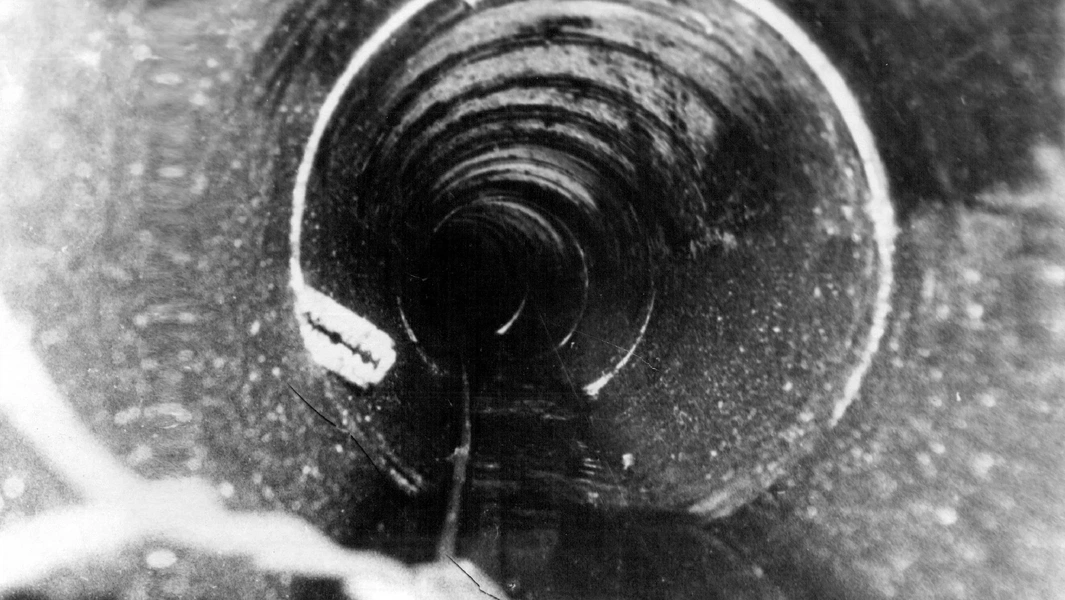 Tree roots invading old sewer lines could cost homeowners $5,000+