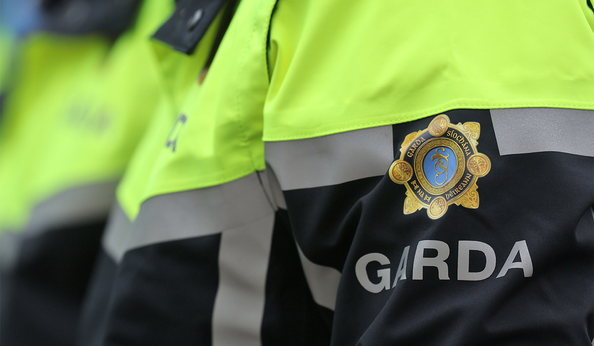 Scammer posing as Garda accidentally calls real Garda
