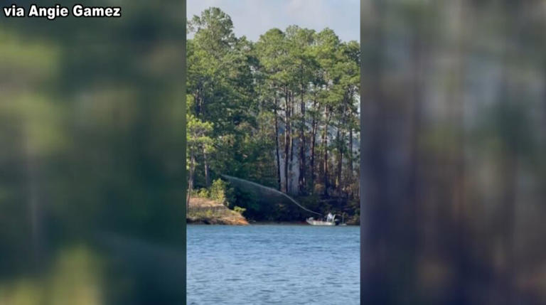 Goat Island on Lake Martin catches fire