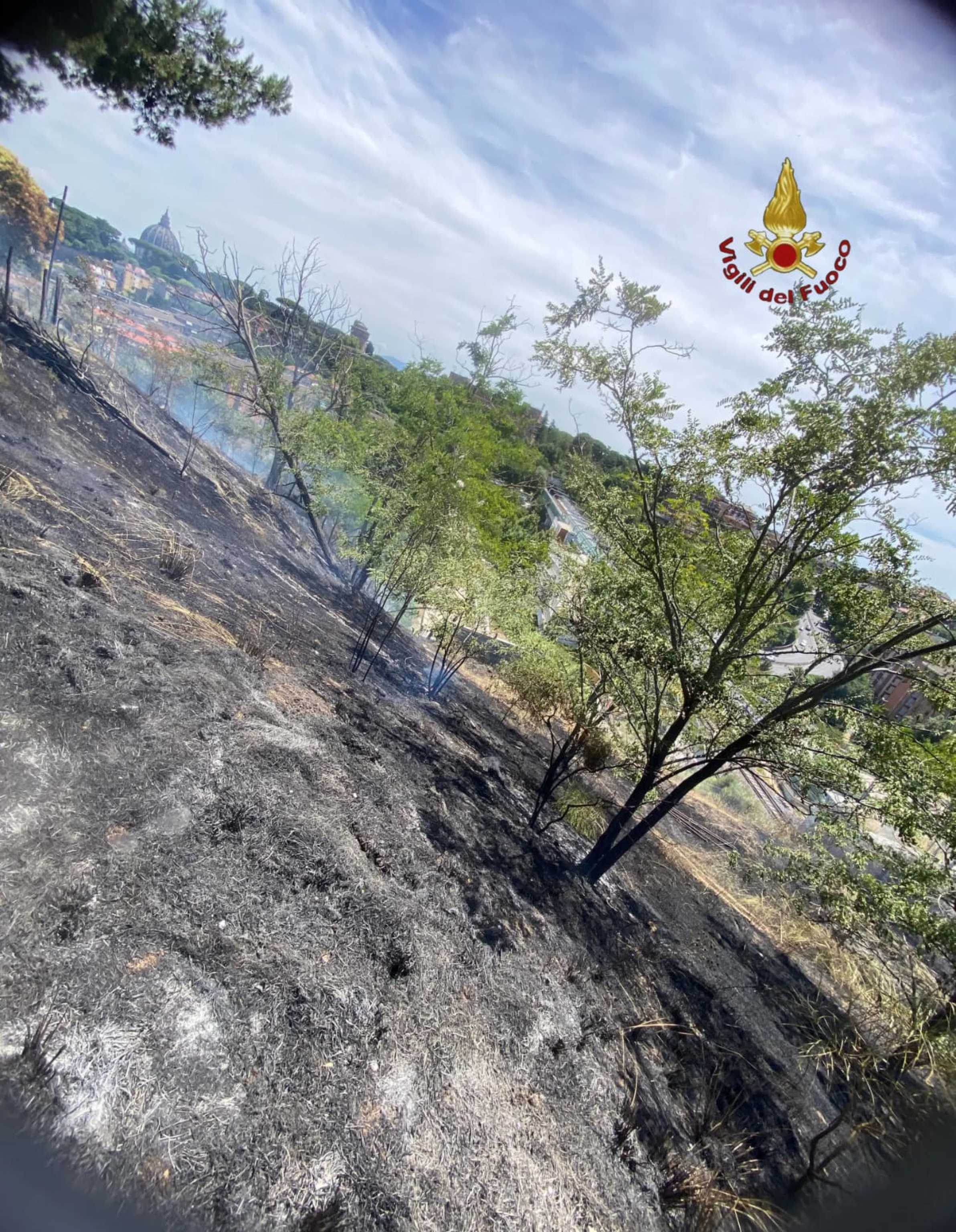 Sterpaglie in fiamme nel parco di Monte Ciocci, fumo nelle strade di Prati