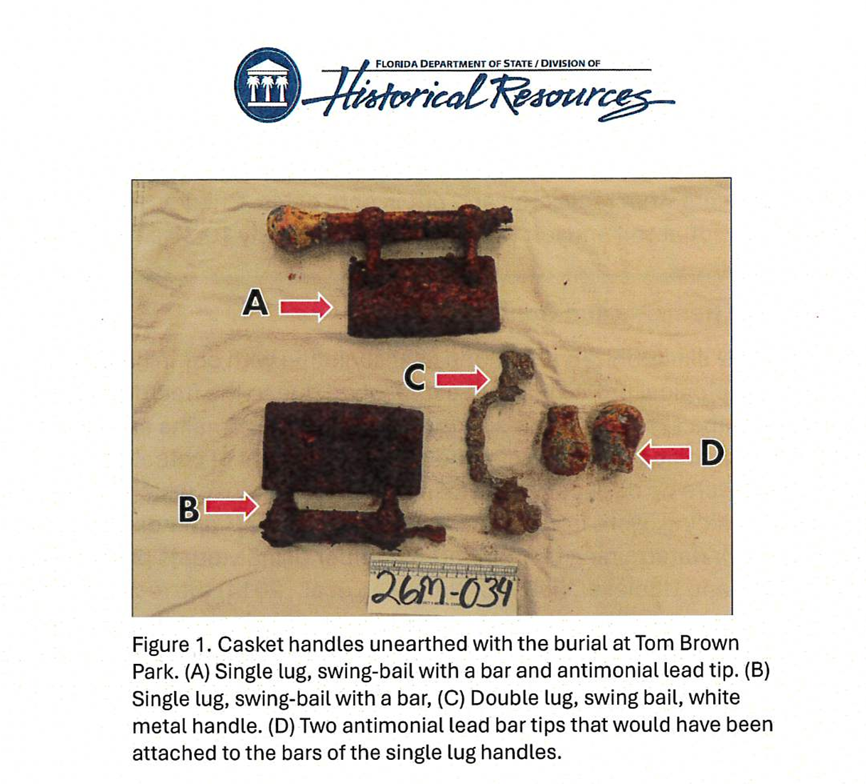 What investigation uncovered after casket, remains found in Tom Brown Park