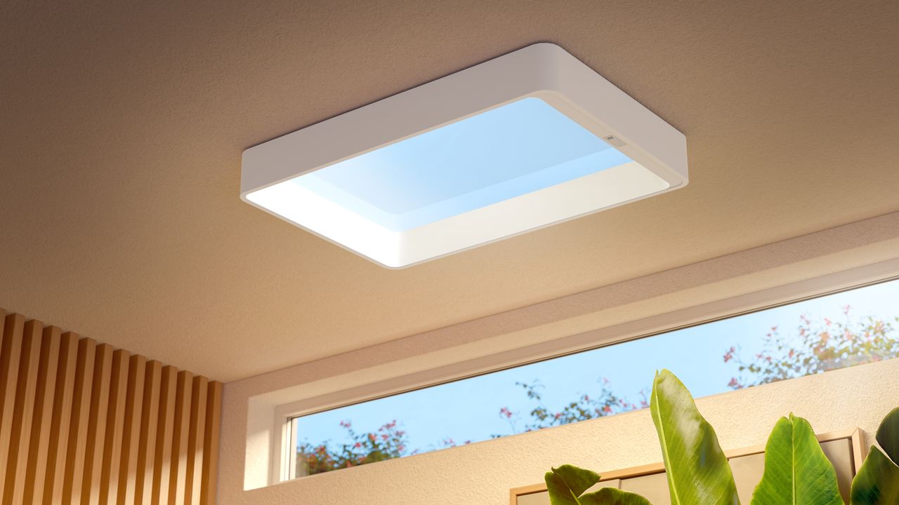 Is Philips new ceiling light worth the price? Here are budget alternatives