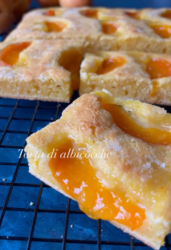 Torta bassa soffice alle albicocche a quadrotti: ricetta facile in ...