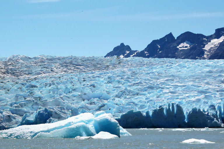 Artico, aumentano gli iceberg e nascono nuovi ecosistemi sottomarini