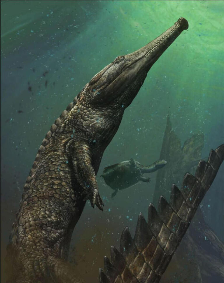 Scientists unearth a fully intact 10-meter sea crocodile fossil beneath ...