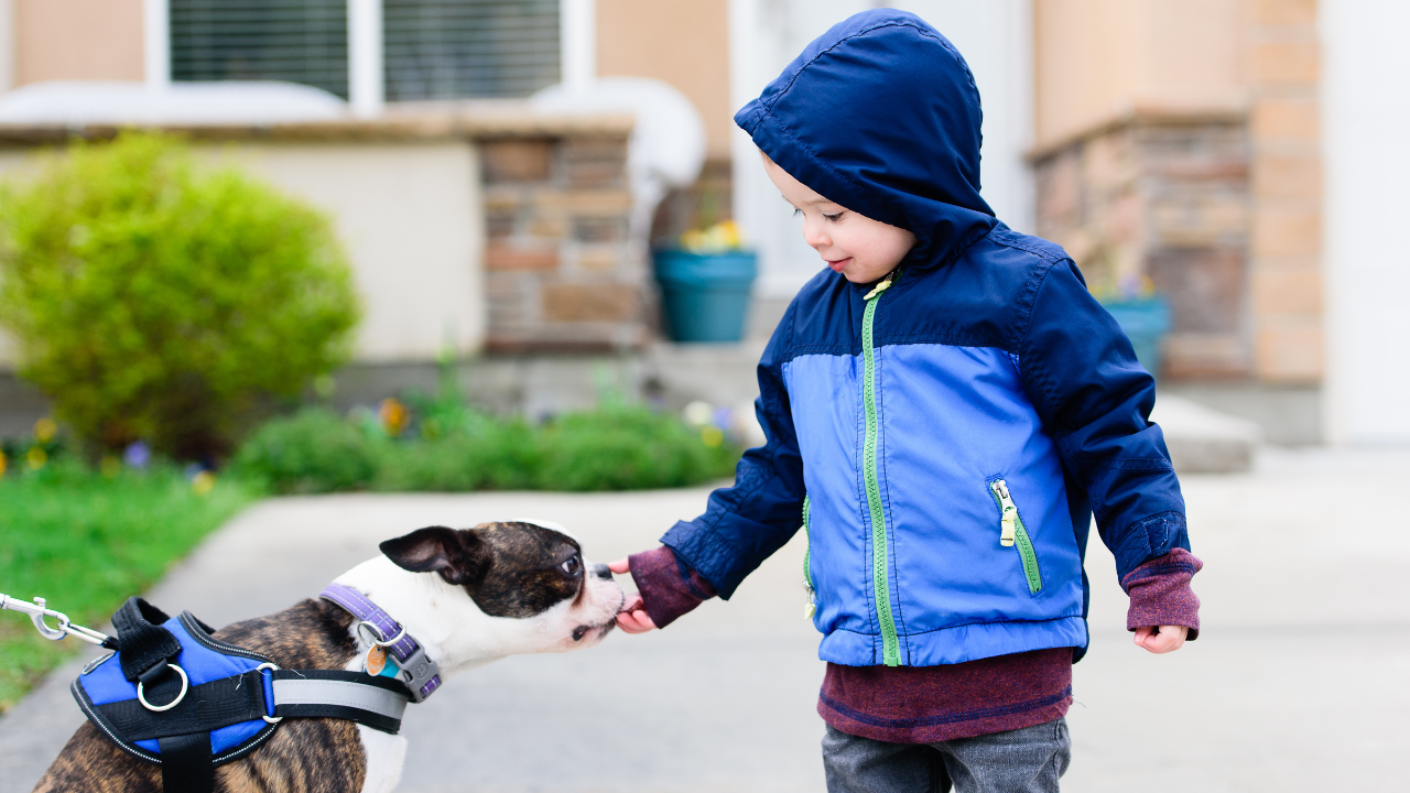 5 things children often hide and why parents need to know these immediately