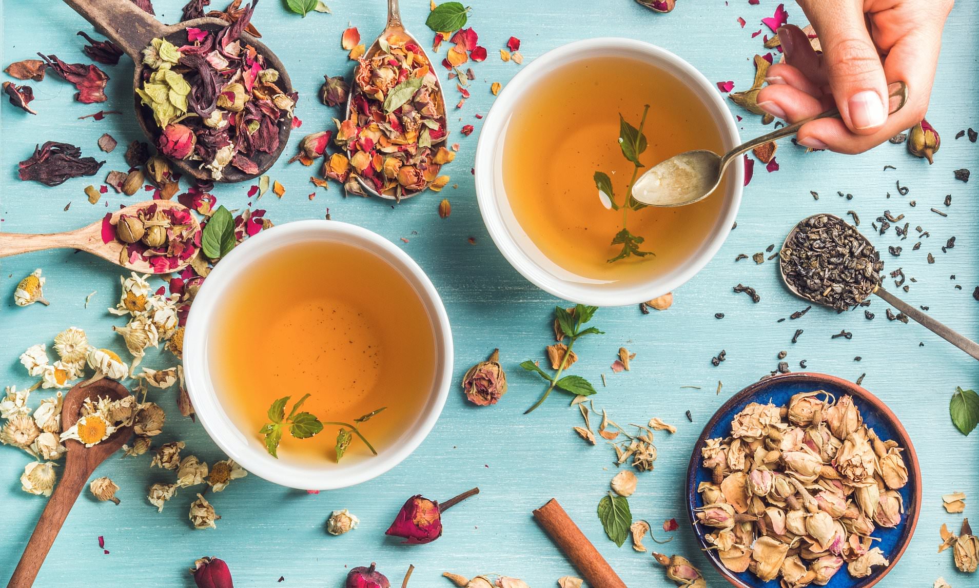 Expert reveals the health benefits of herbal teas - and whether you can ...