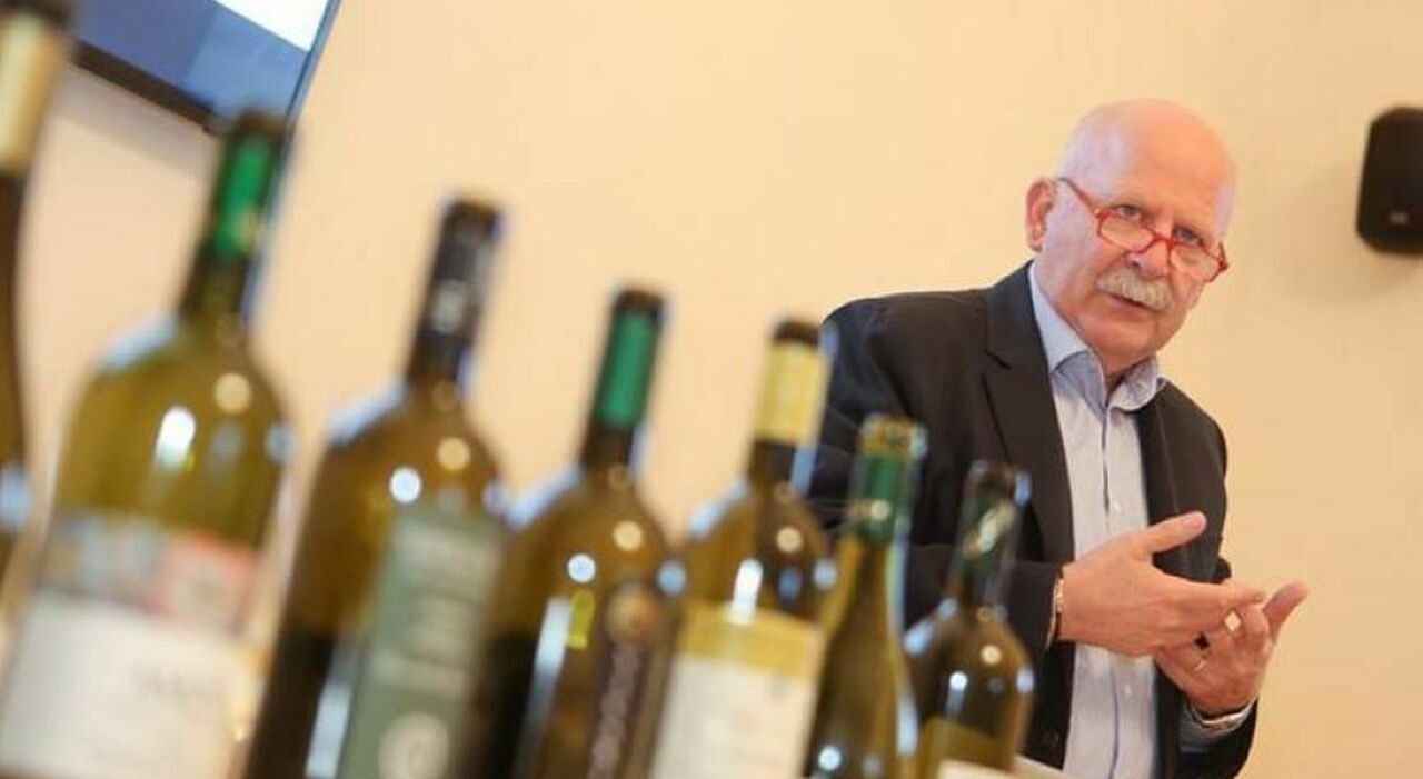 L'analisi di Mazzoni, direttore Imt: «Troppo vino nelle cantine, è ...