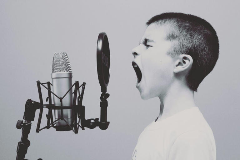 Our knowledge about speech called into question