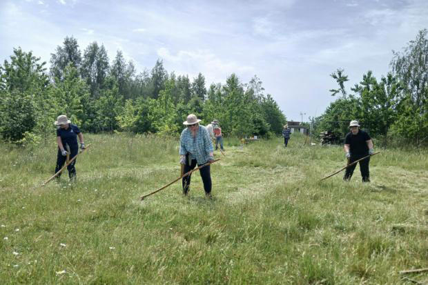 People invited to take part in traditional haymaking by hand this summer