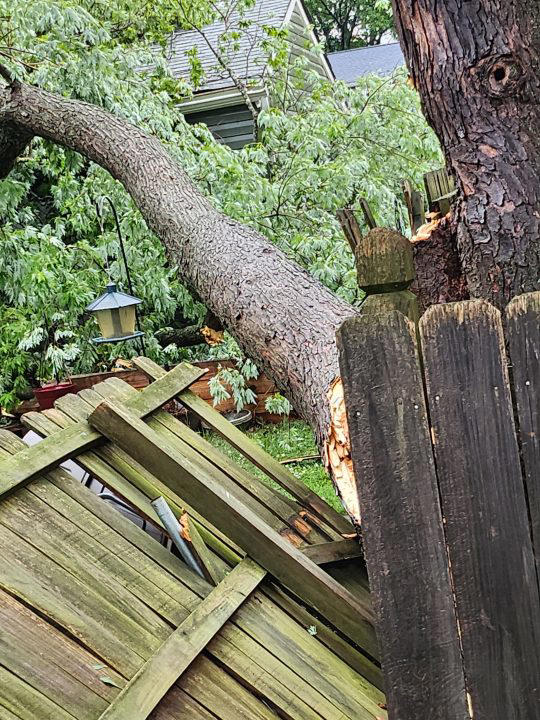 Gallery: Damage across Hampton Roads following thunderstorms