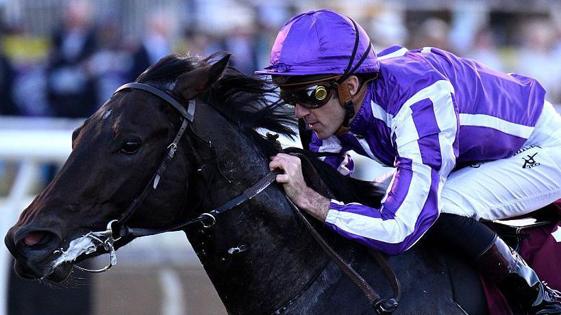 The small Welsh stud that bred classic winner Gstaad